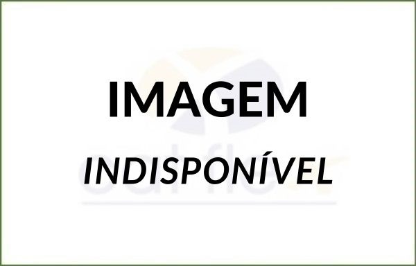 ESPECÍFICOS OUTRAS MARCAS BM CAT = EURO4 = BM91176H